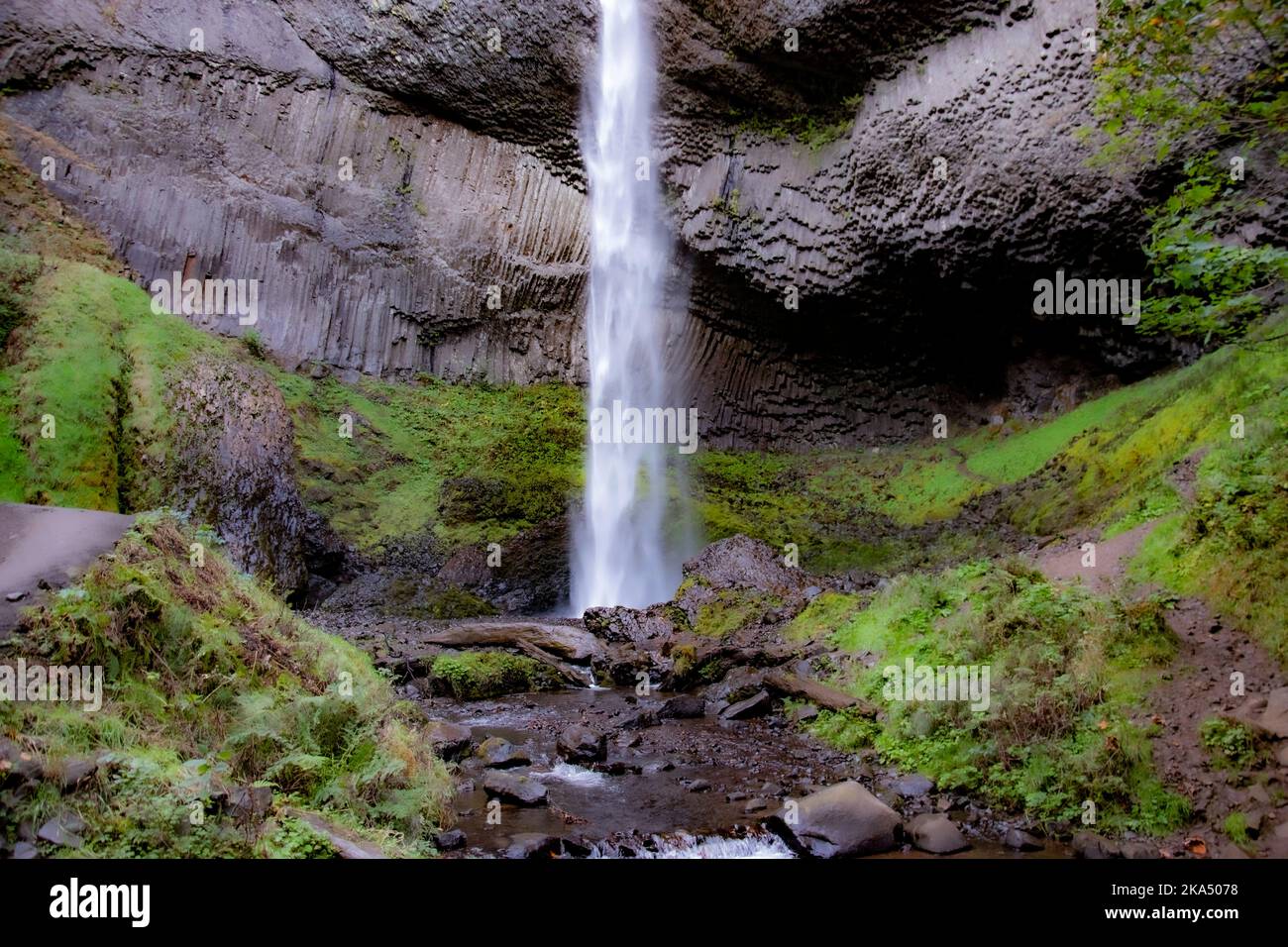 Moss ball in water hi-res stock photography and images - Alamy