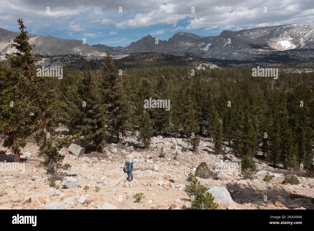 Trekking to Forester Pass on the Bighorn Plateau, High Sierras, Pacific ...