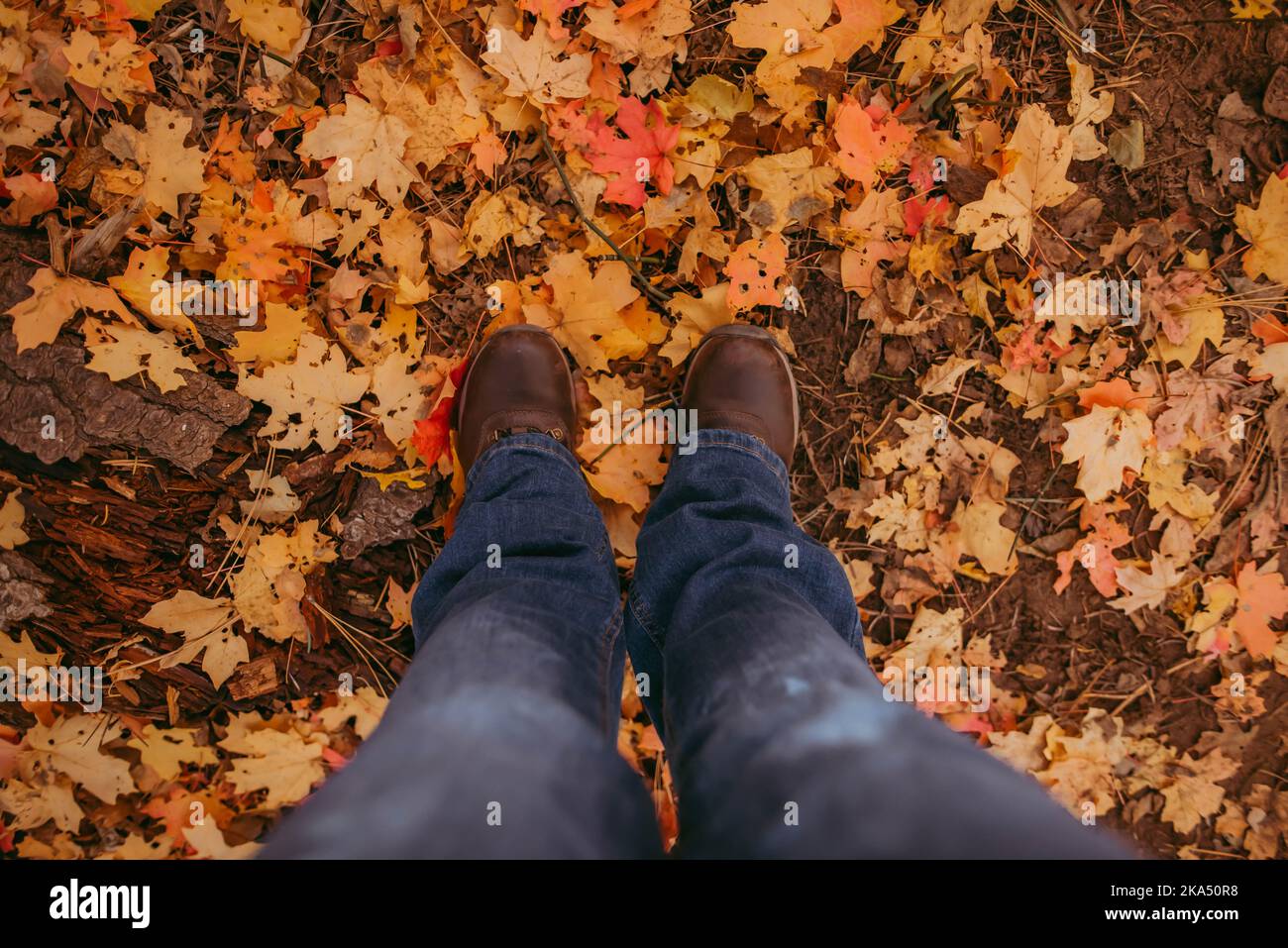 Fall leaves on the ground with hiker Stock Photo - Alamy
