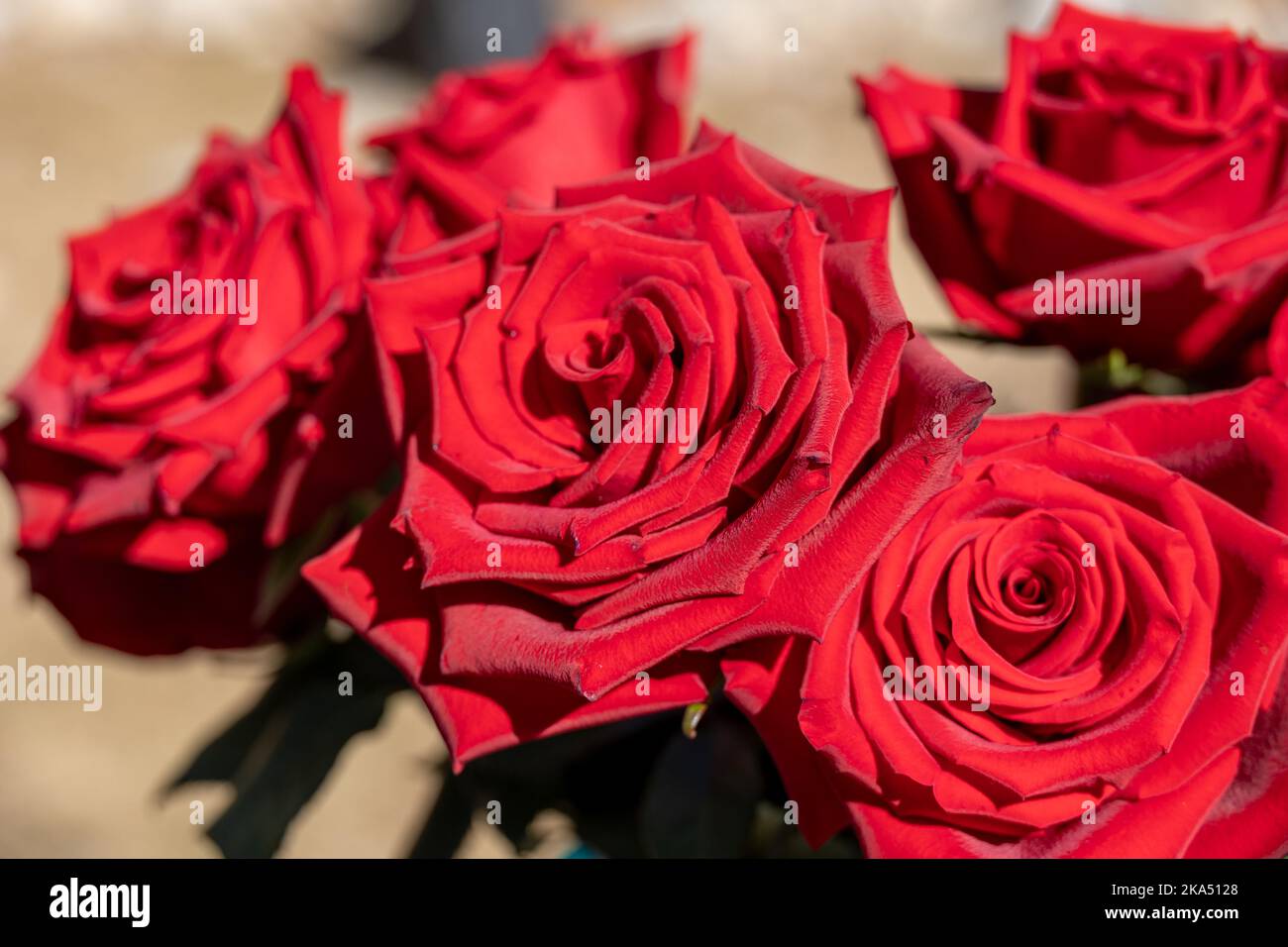Large red bouquet hi-res stock photography and images - Alamy