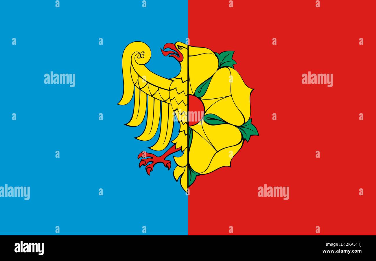 Top view of flag Wodzislaw slaski, Poland. Polish city. travel and ...