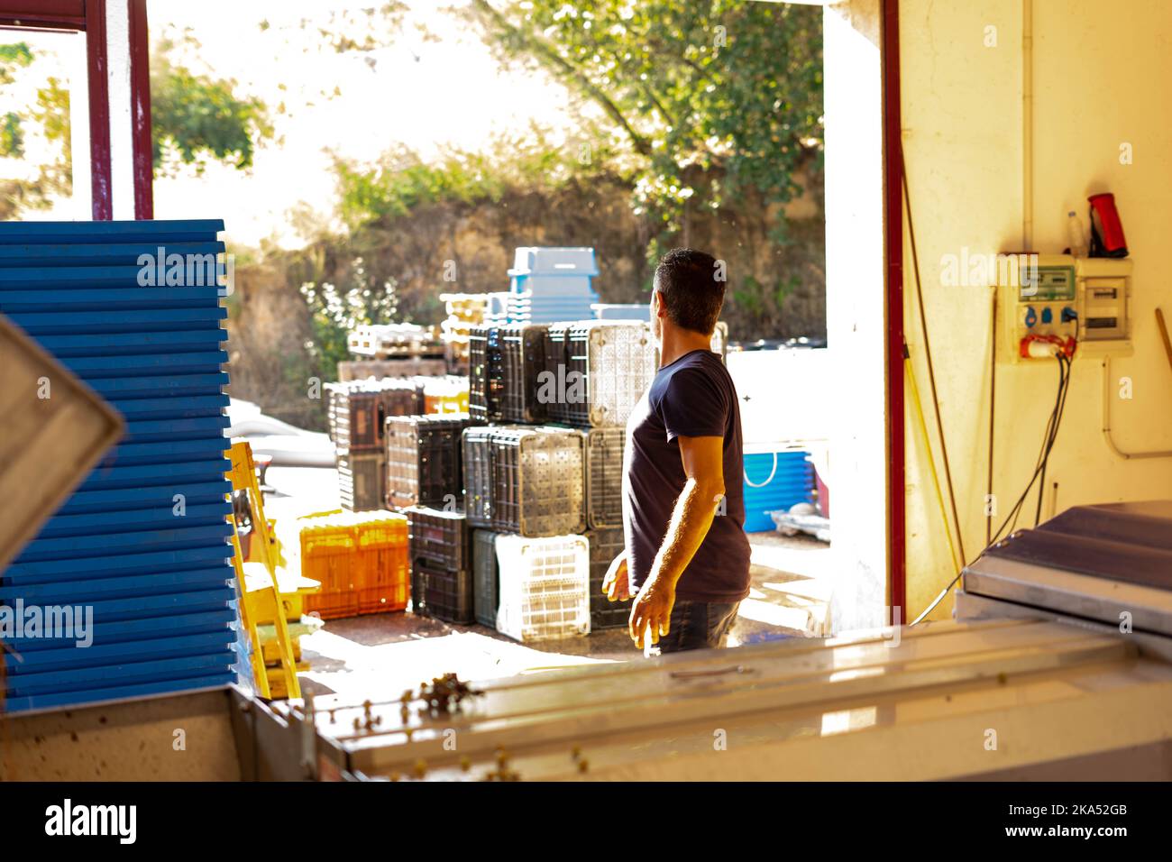 Stacks of empty fruit boxes Stock Photo - Alamy