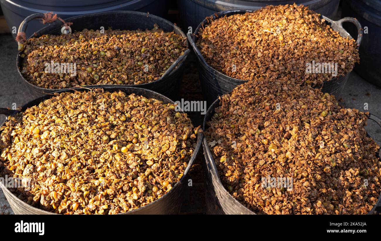 Grape distillation hi-res stock photography and images - Alamy