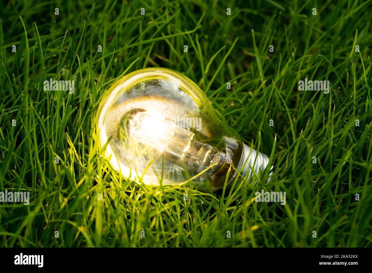 Close up photo of shining lightbulb with nature background as a symbol ...