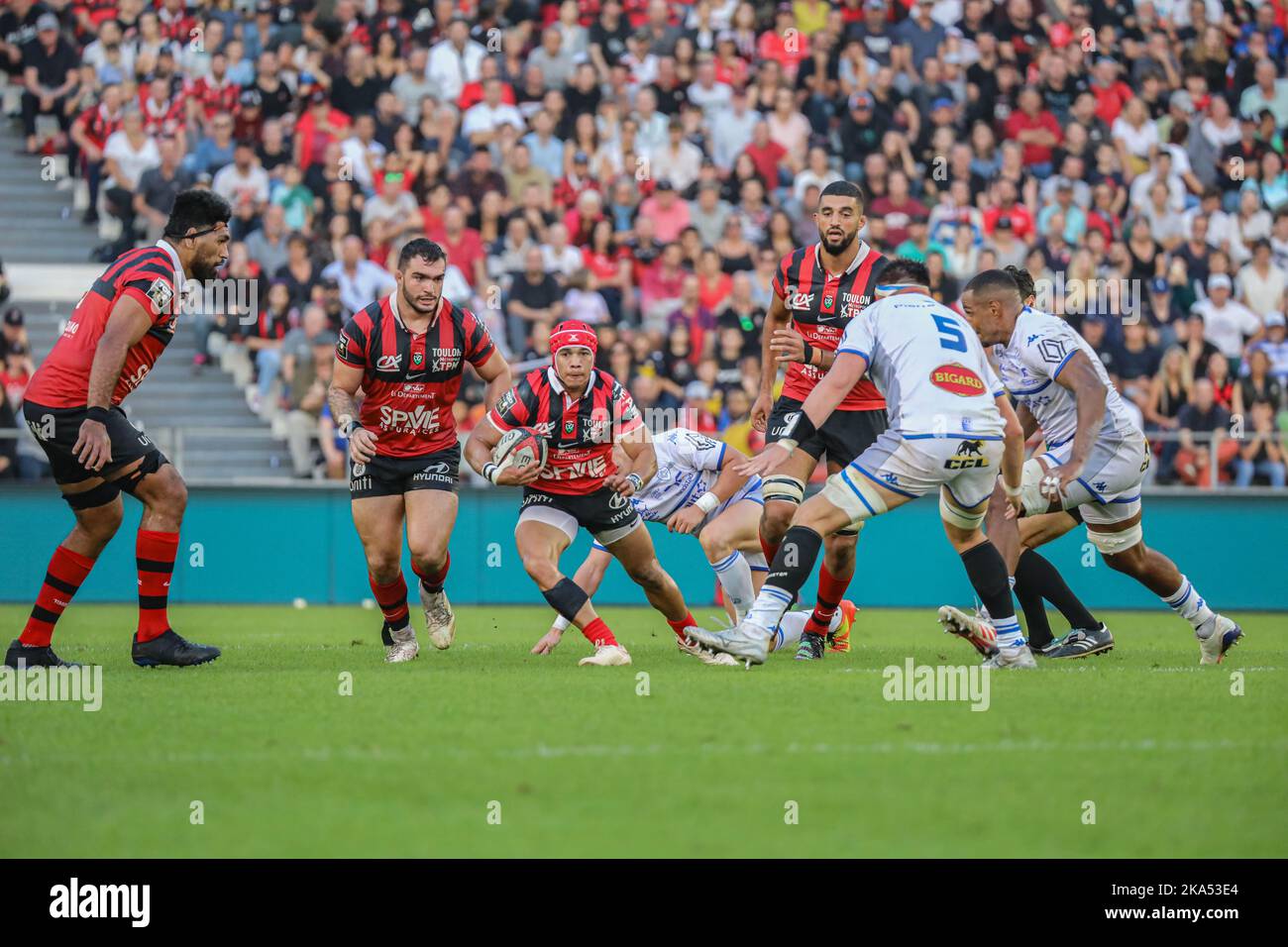 Cheslin kolbe toulon hi-res stock photography and images - Alamy