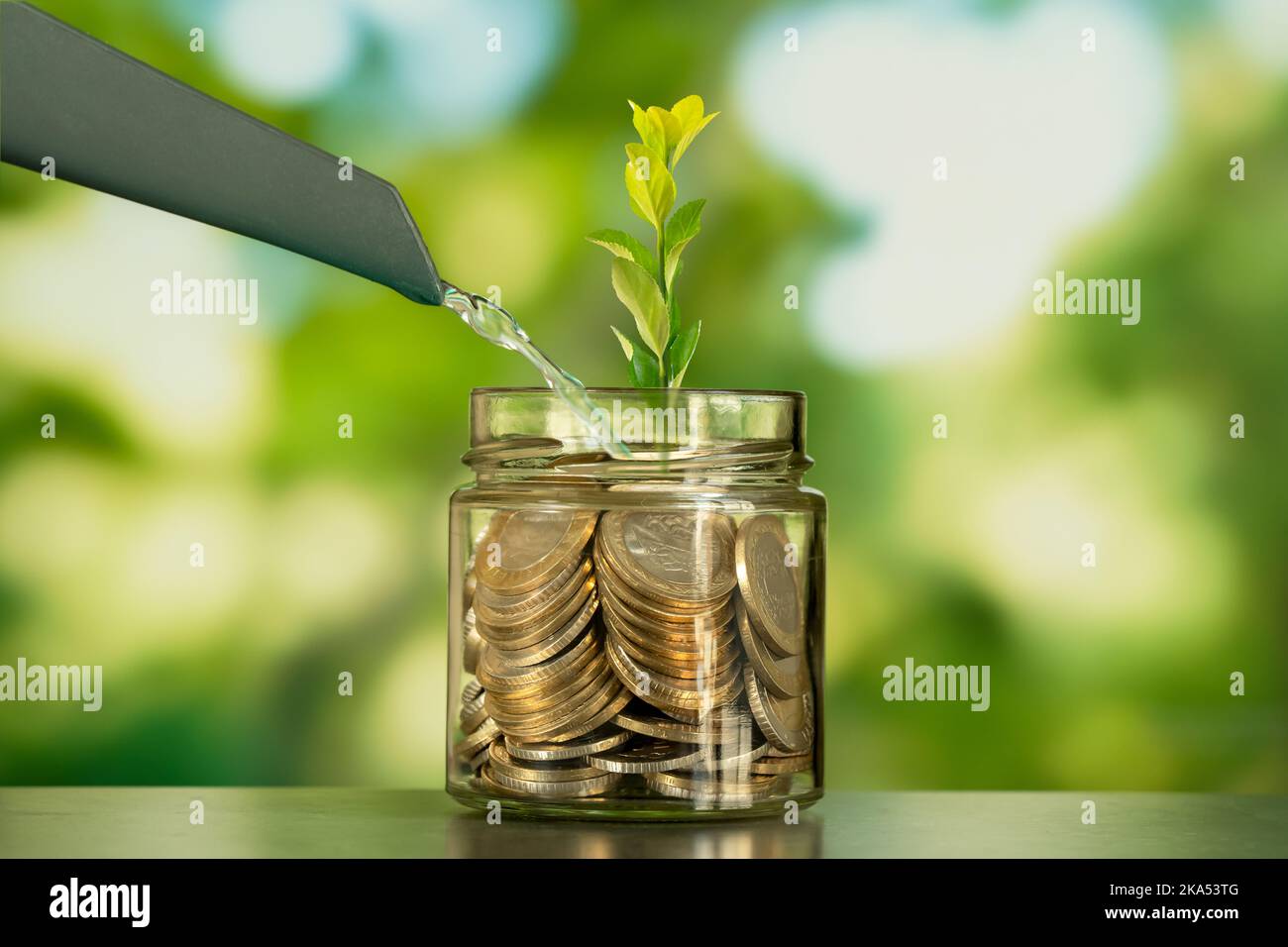 Close up photo of glass jae full of coins and growing plant inside as a ...