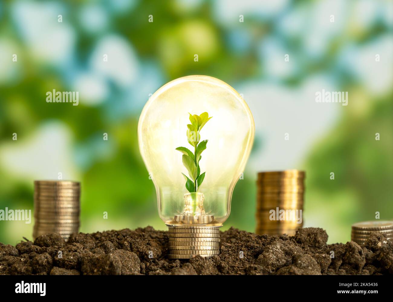 Close up photo of lightbulb with growing plant inside and coin stacks ...