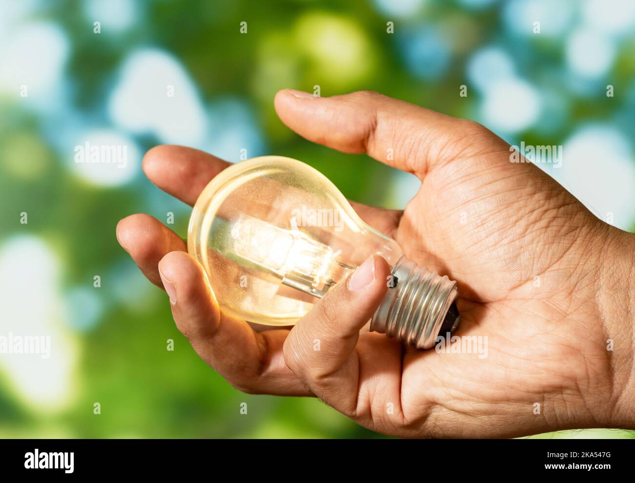 Close up photo of shining lightbulb with nature background as a symbol ...