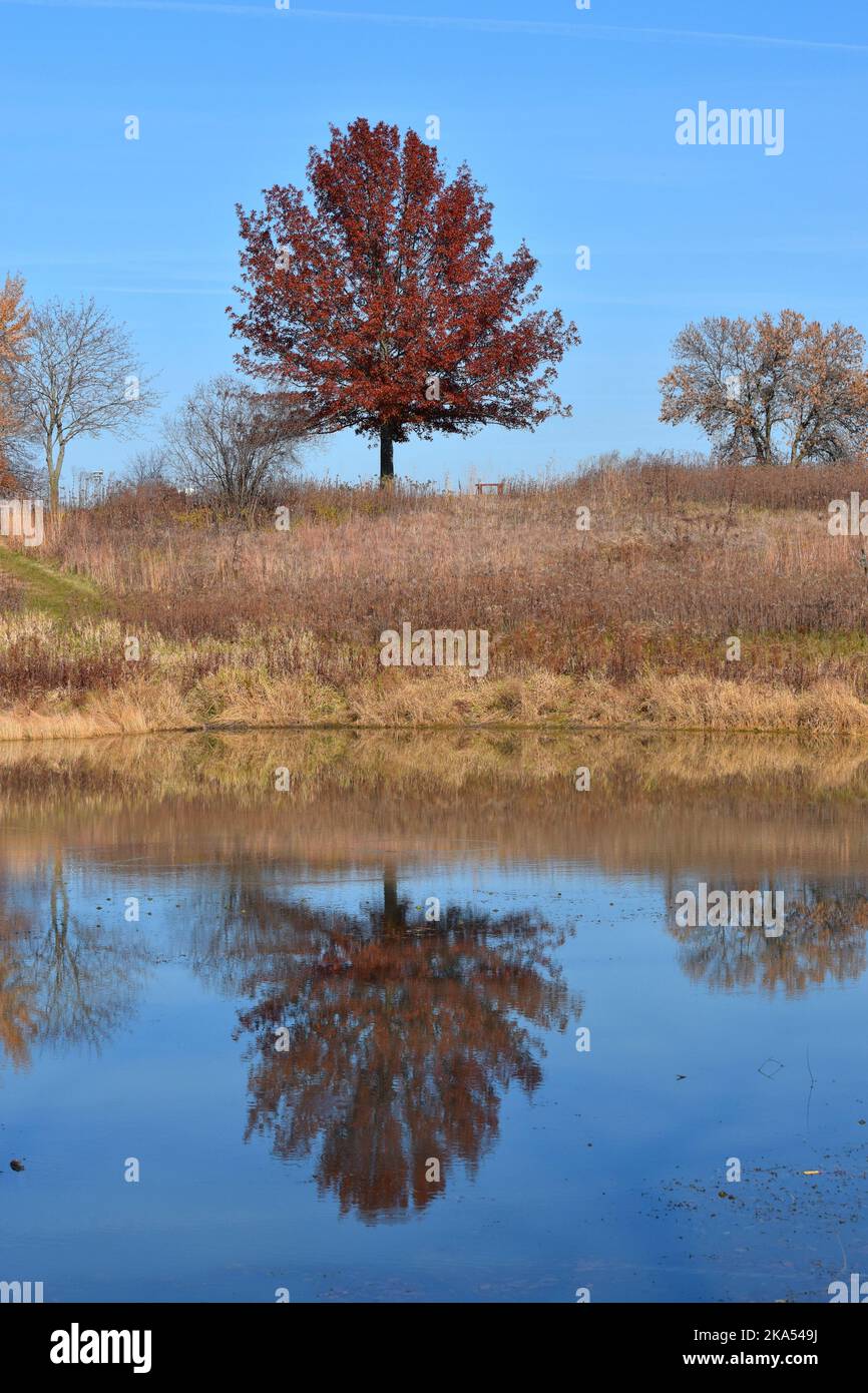 Fall colors in Southwestern Wisconsin Stock Photo - Alamy