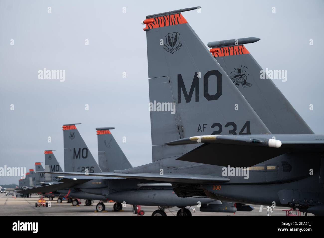 U.S. Air Force F-15E Strike Eagles assigned to the 391st Fighter ...