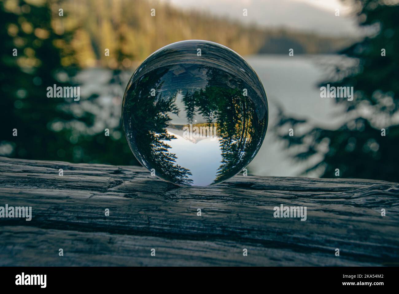 Reflection of Mount Hood, the Lost Lake, and pine trees in a crystal ...