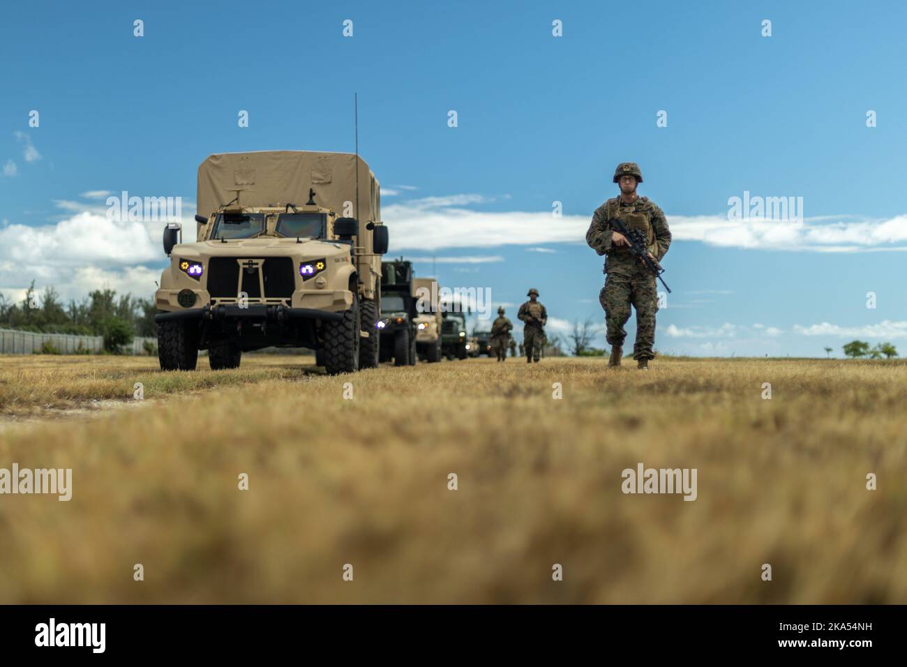 3d laab hi-res stock photography and images - Alamy