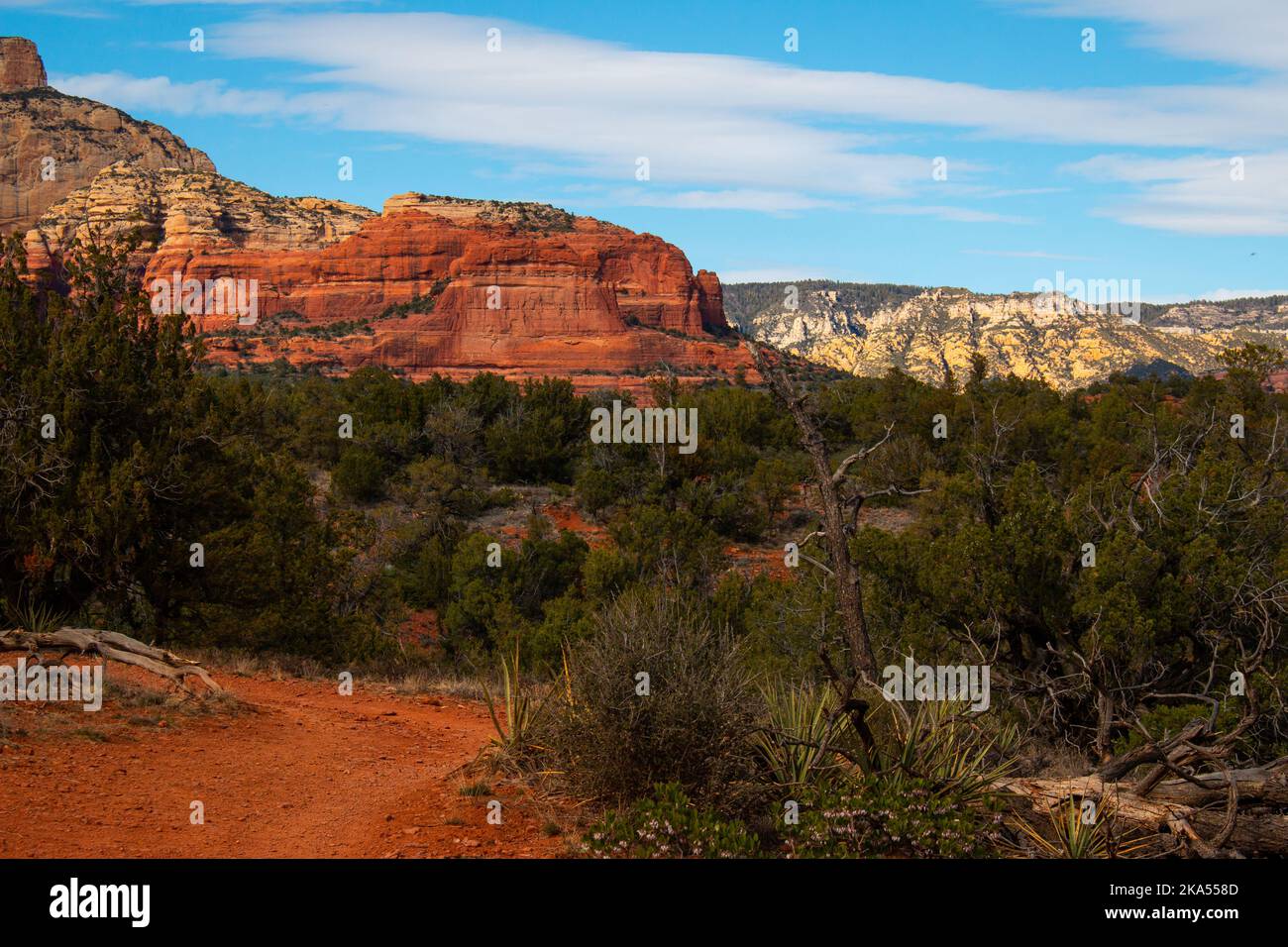 Mescal hiking trail in Sedona, Arizona. Late February Stock Photo - Alamy