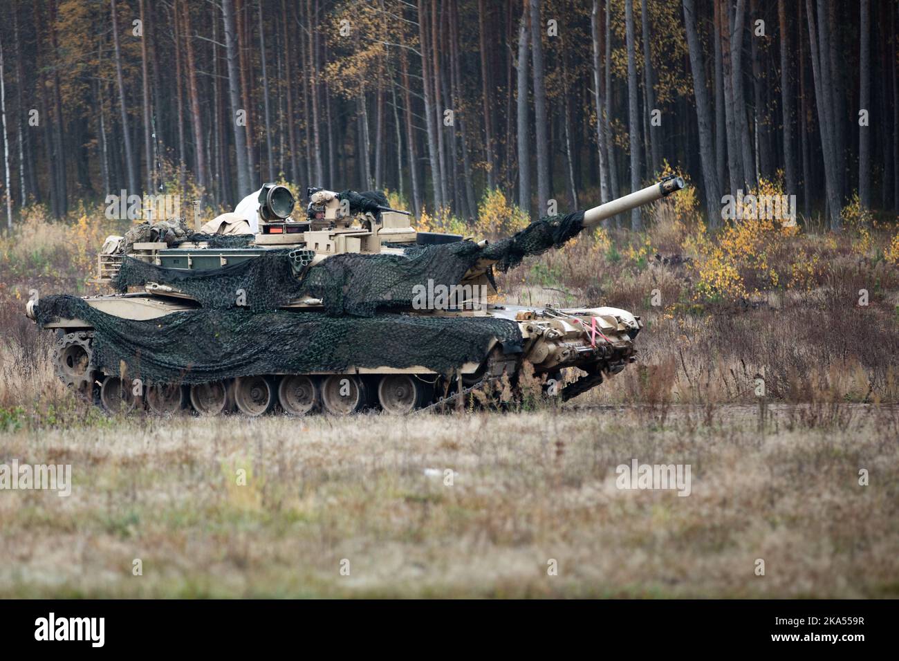 U.S. Soldiers assigned to Ares Company, 1st Battalion, 66th Armored ...