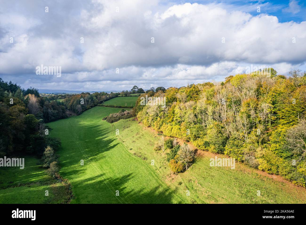 Forests and Farms over Berry Pomeroy, Devon, England, Europe Stock ...