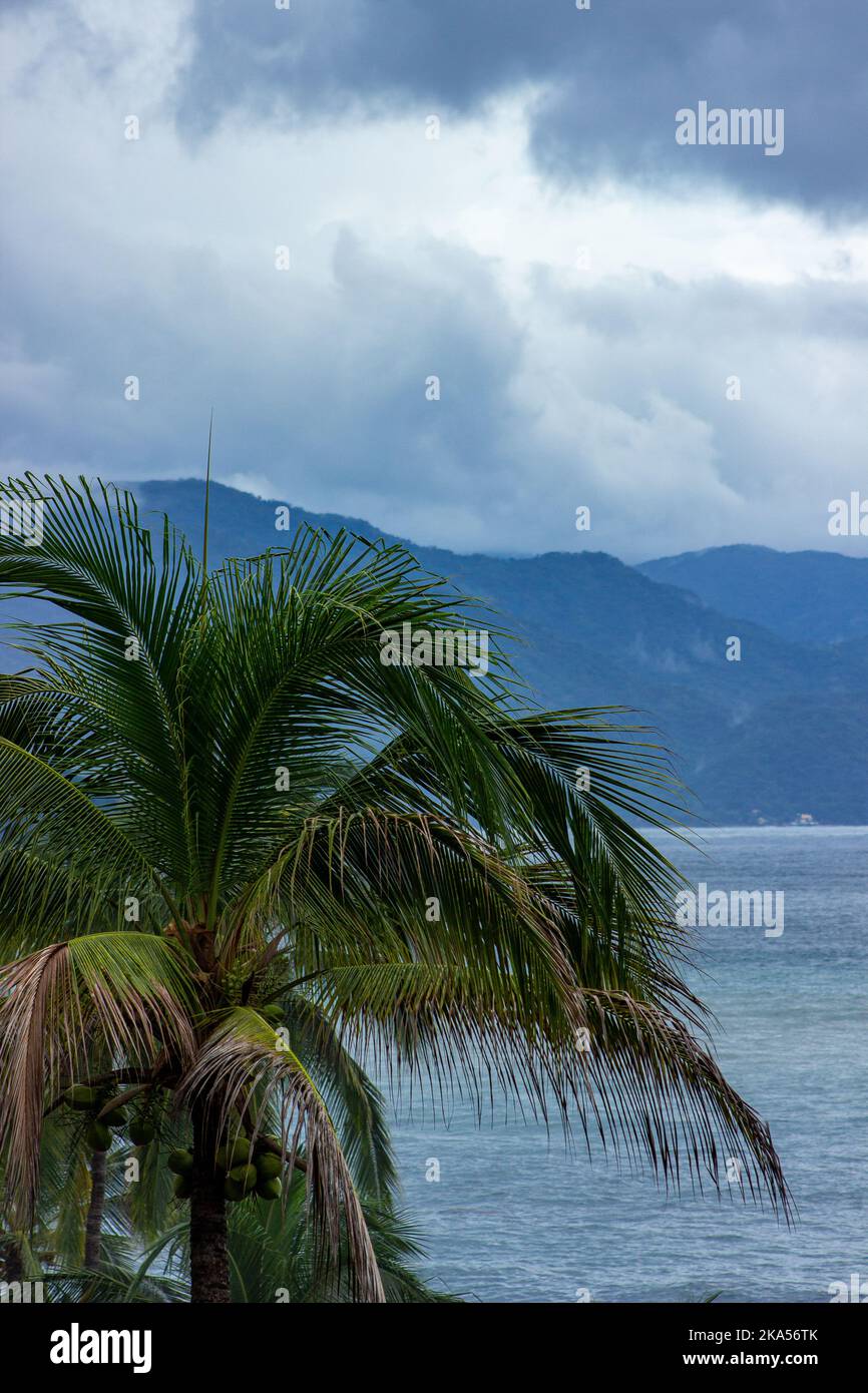 Stormy tropics hi-res stock photography and images - Alamy