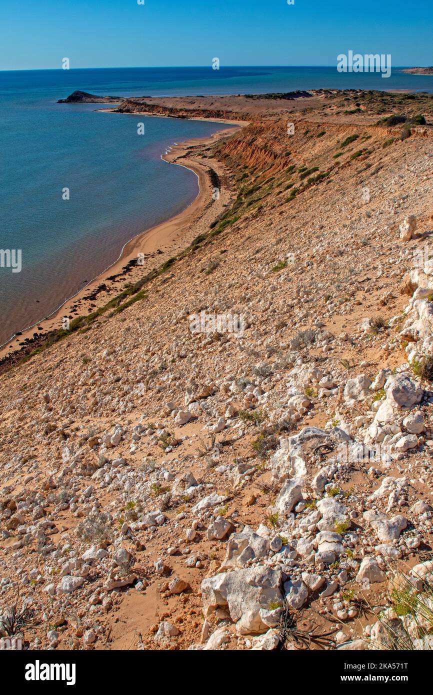 Eagle Bluff, a popular marine wildlife lookout point on Shark Bay Stock ...