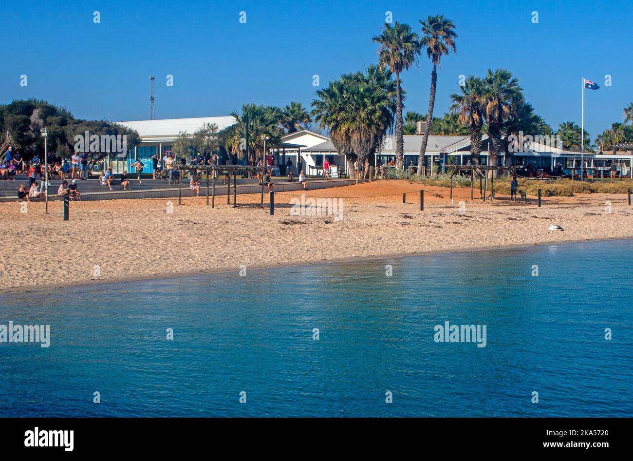 Monkey mia hi-res stock photography and images - Alamy