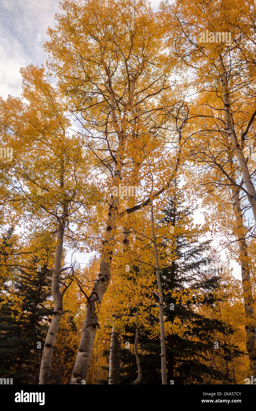 Fall in Colorado provides indescribable moments that can only be ...