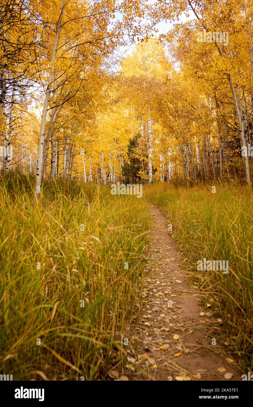 Fall in Colorado provides indescribable moments that can only be ...
