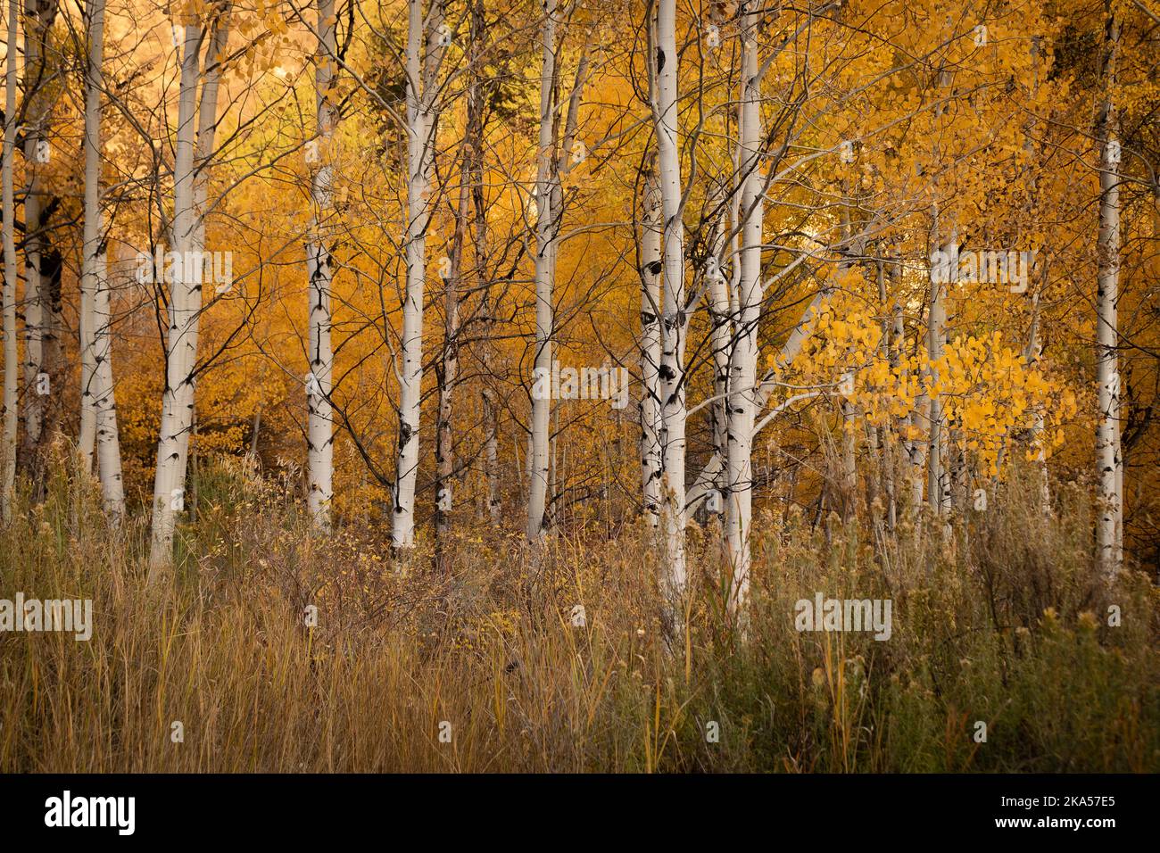 Fall in Colorado provides indescribable moments that can only be ...