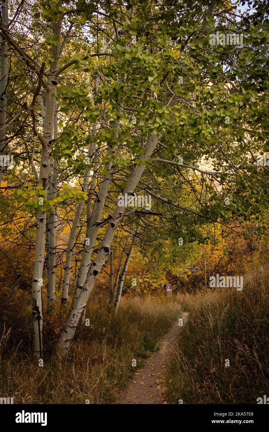 Fall in Colorado provides indescribable moments that can only be ...