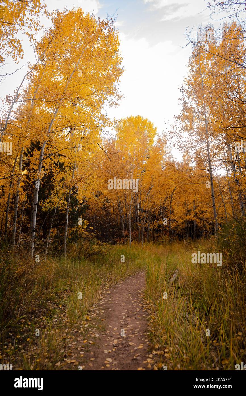 Fall in Colorado provides indescribable moments that can only be ...