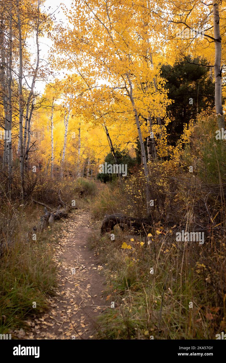 Fall in Colorado provides indescribable moments that can only be ...