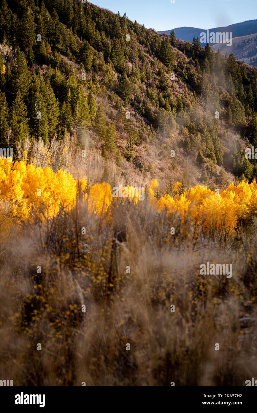 Fall in Colorado provides indescribable moments that can only be ...