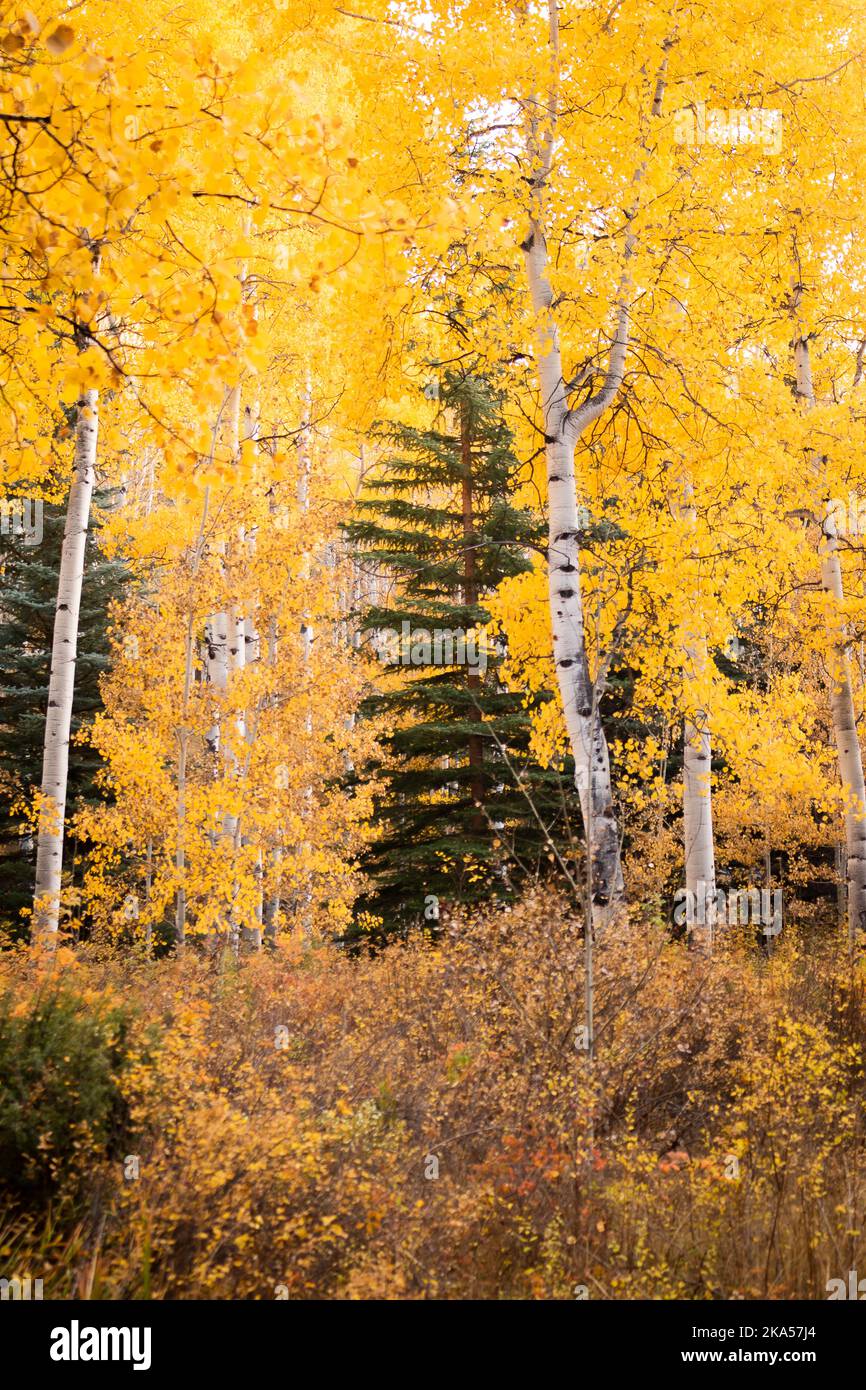 Fall in Colorado provides indescribable moments that can only be ...