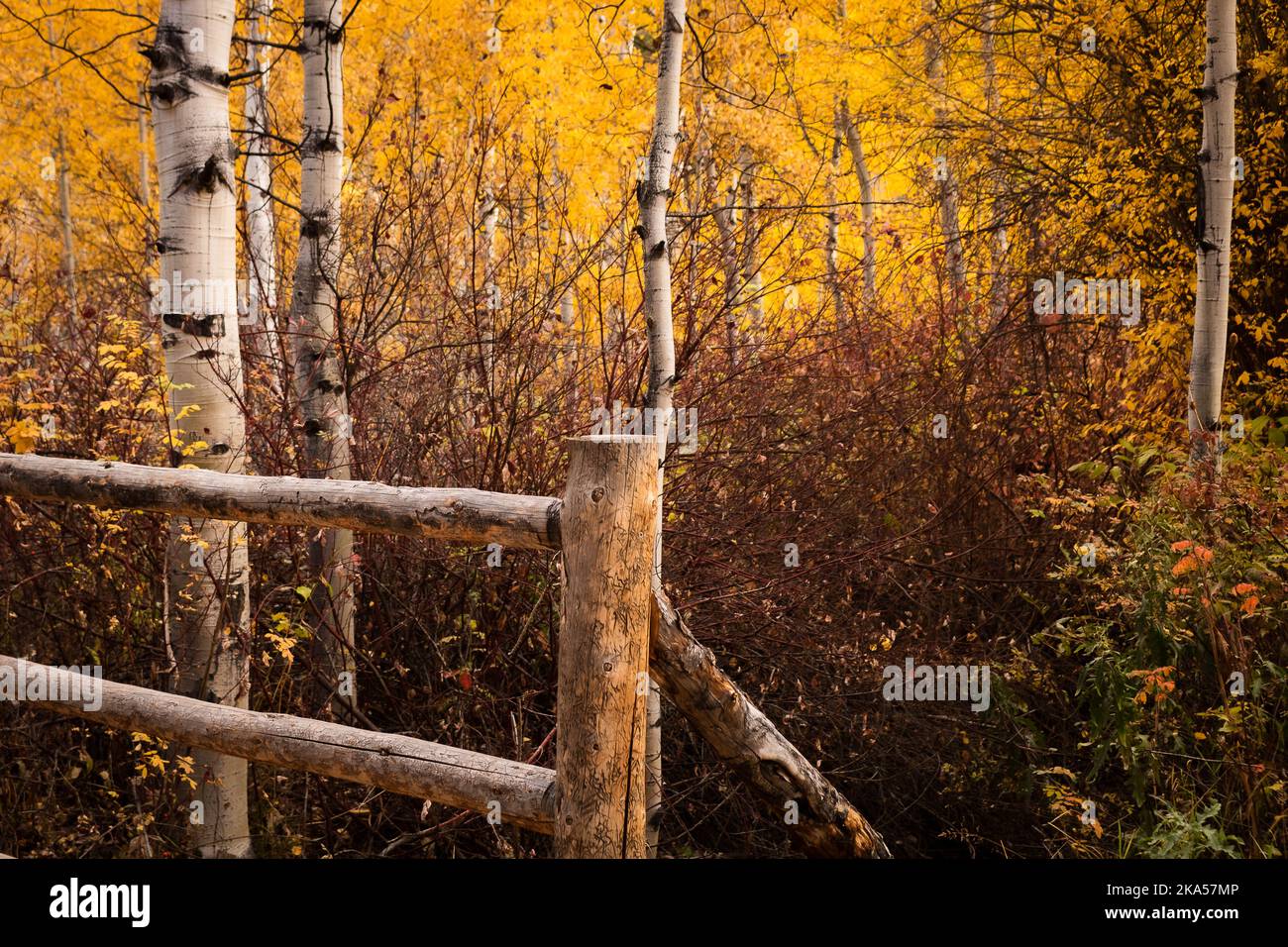 Fall in Colorado provides indescribable moments that can only be ...