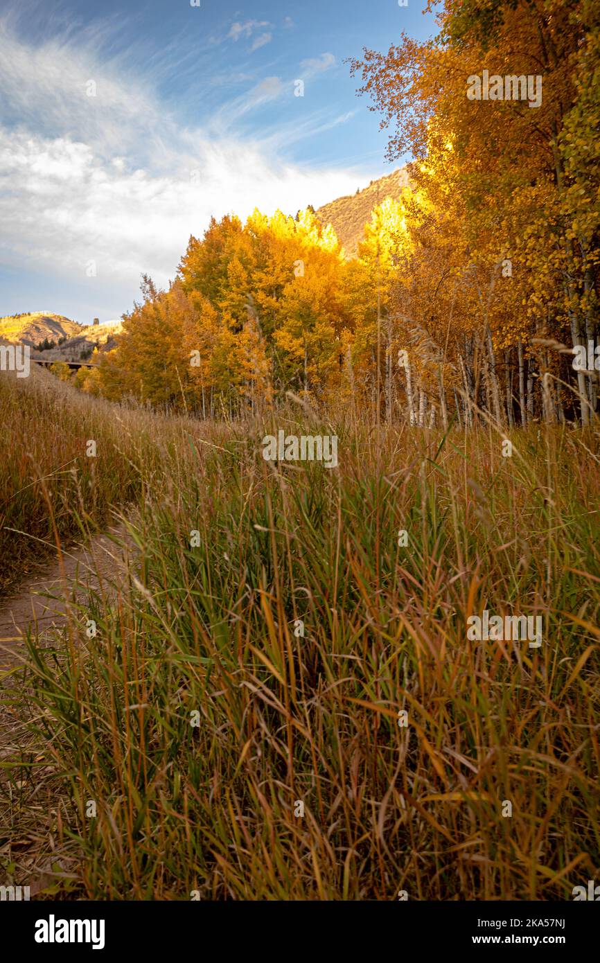 Fall in Colorado provides indescribable moments that can only be ...