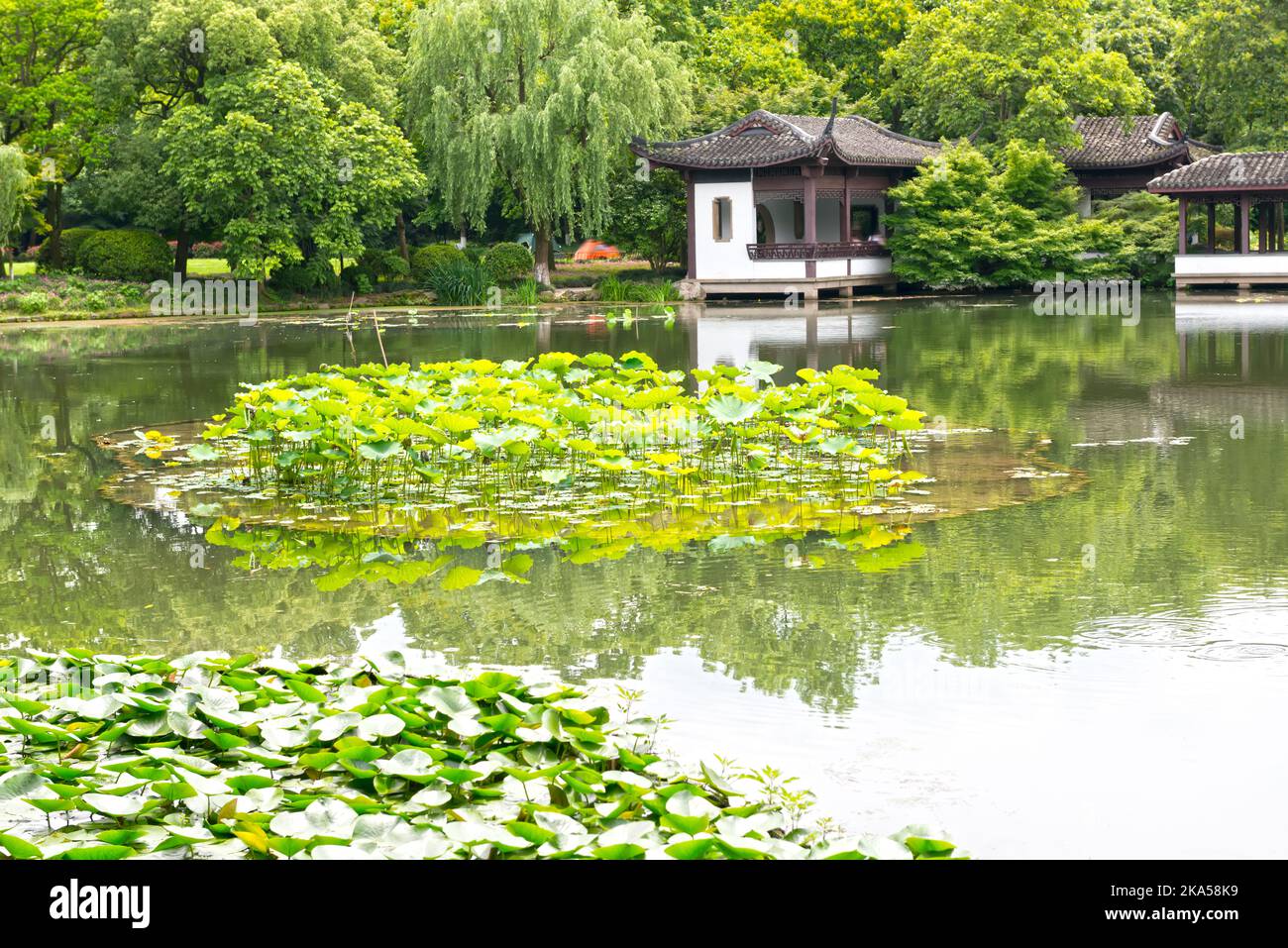 detail of the historic Yuyuan Garden created in the year 1559 by Pan ...
