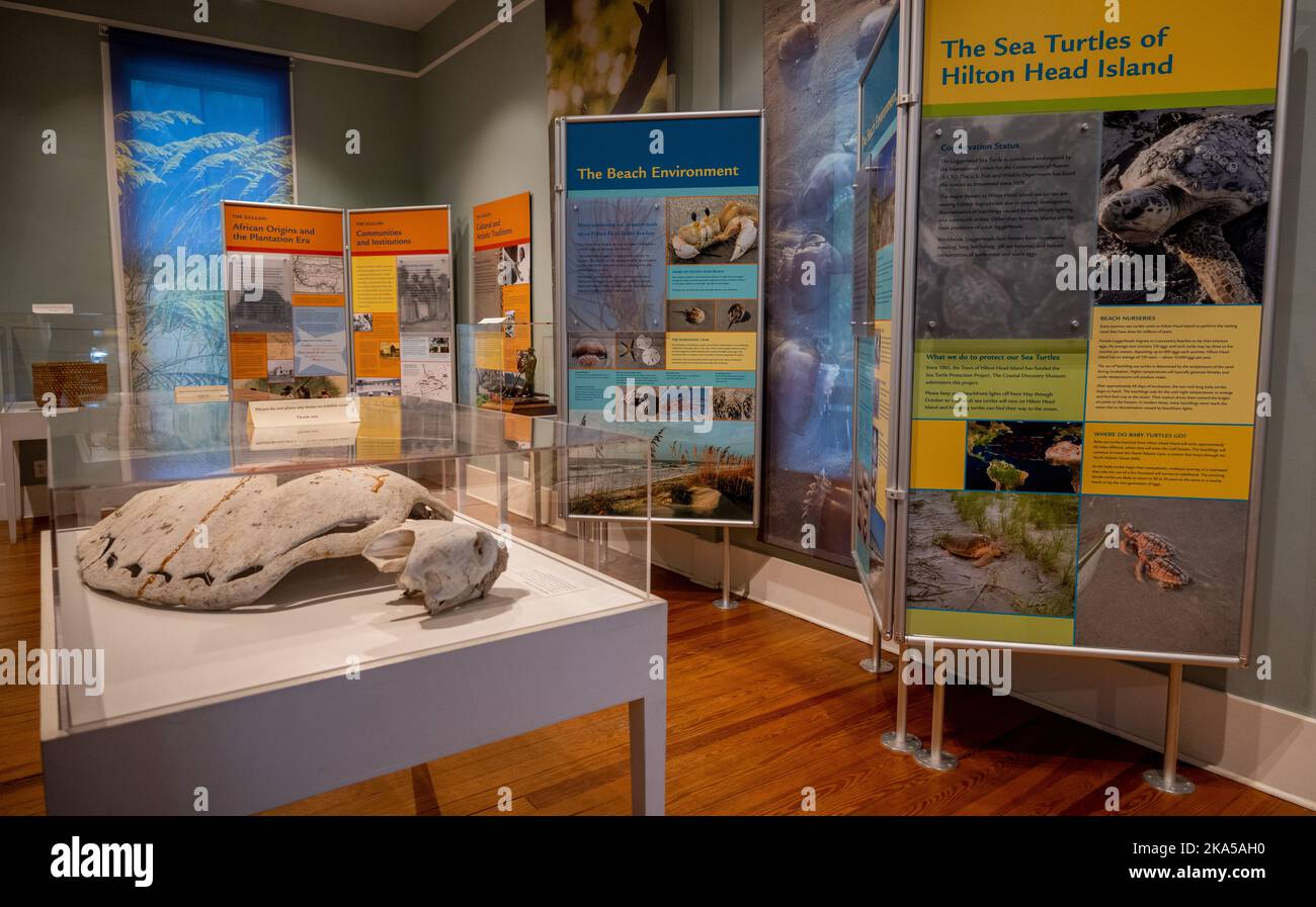An educational museum display at the Coastal Discovery Museum Stock ...