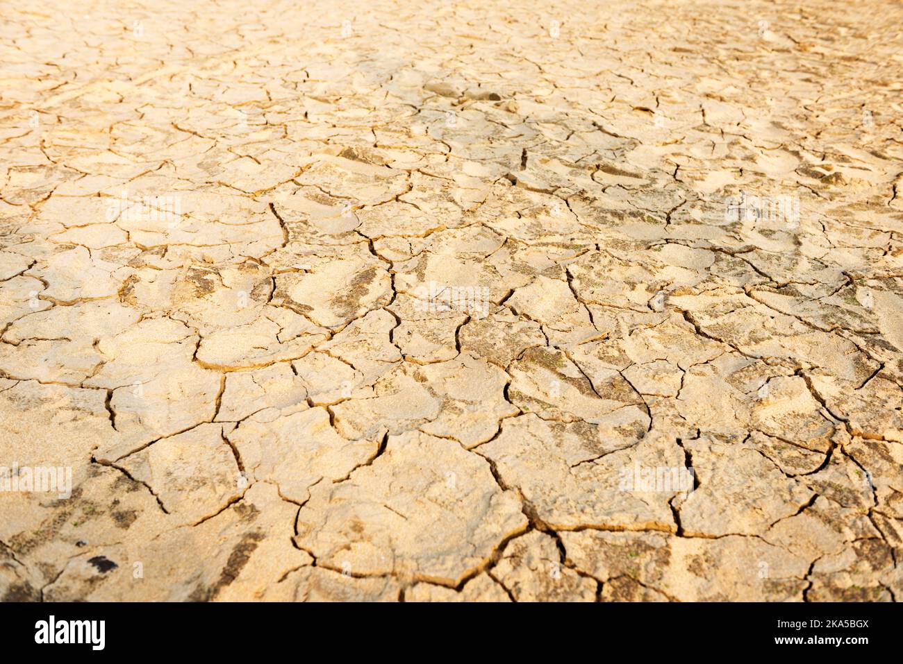 Dry land. Cracked ground background Stock Photo - Alamy
