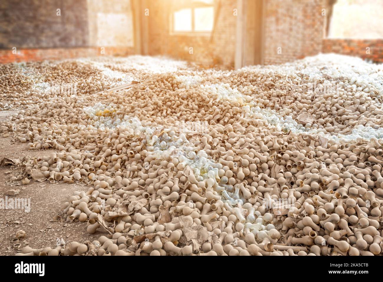 Flasks, old and dirty, in basement of abandoned chemical laboratory ...