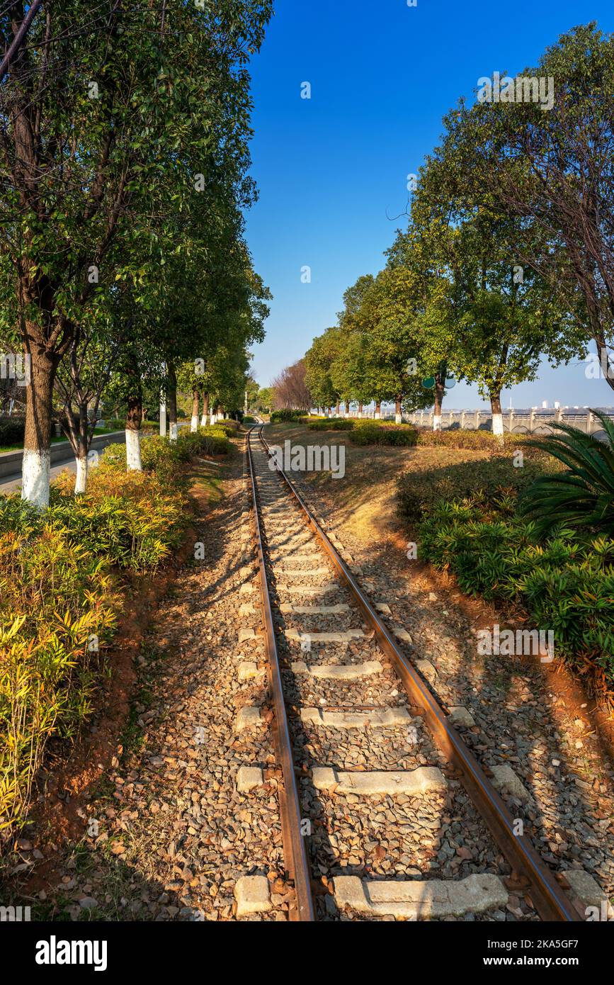 The way forward railway Stock Photo - Alamy