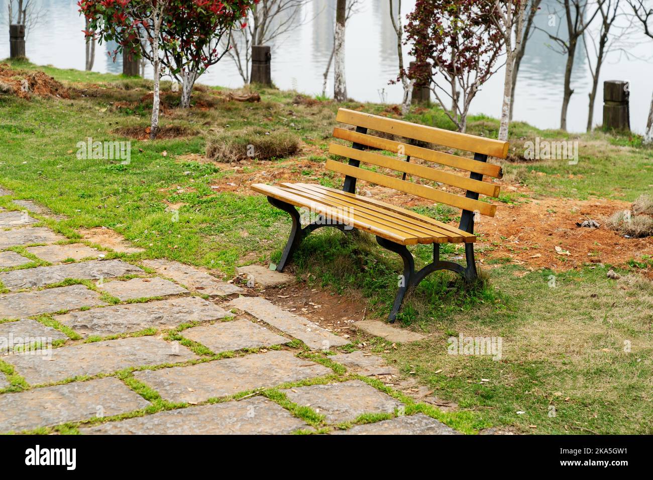 Wooden bench in the city park Stock Photo - Alamy