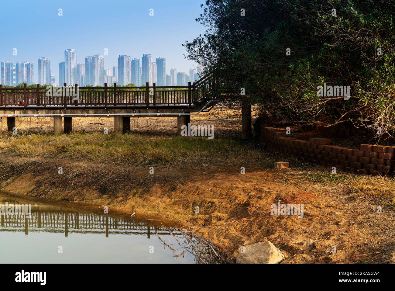 Sydney city building and park Stock Photo - Alamy