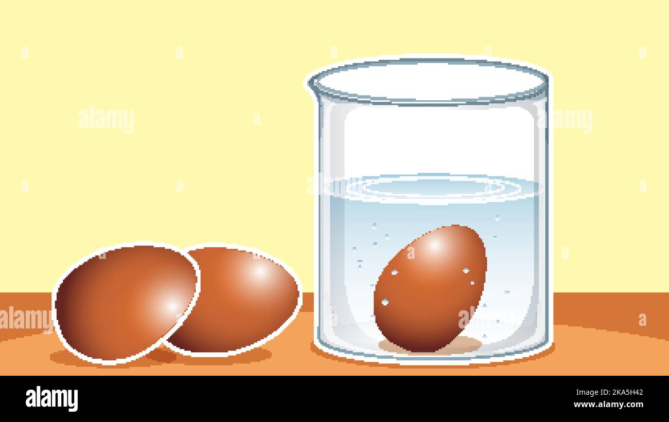 Thumbnail design with egg vinegar experiment illustration Stock Vector Image & Art - Alamy