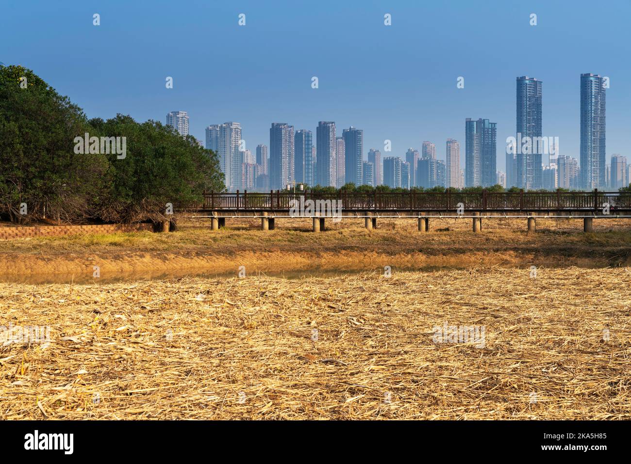Lakeside modern office building in China Stock Photo - Alamy
