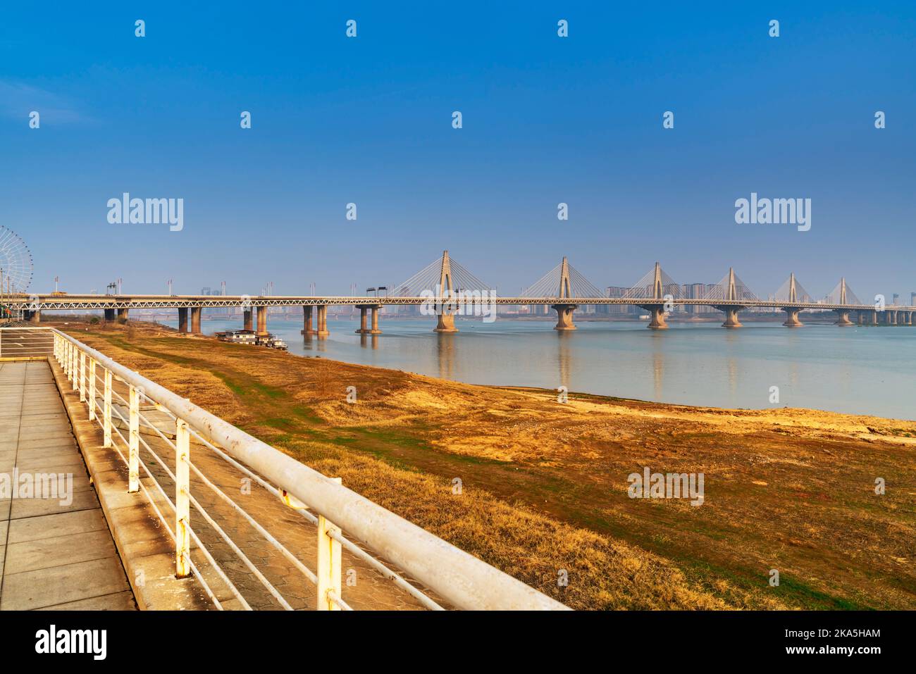 yangtze river cable stayed bridge Stock Photo - Alamy