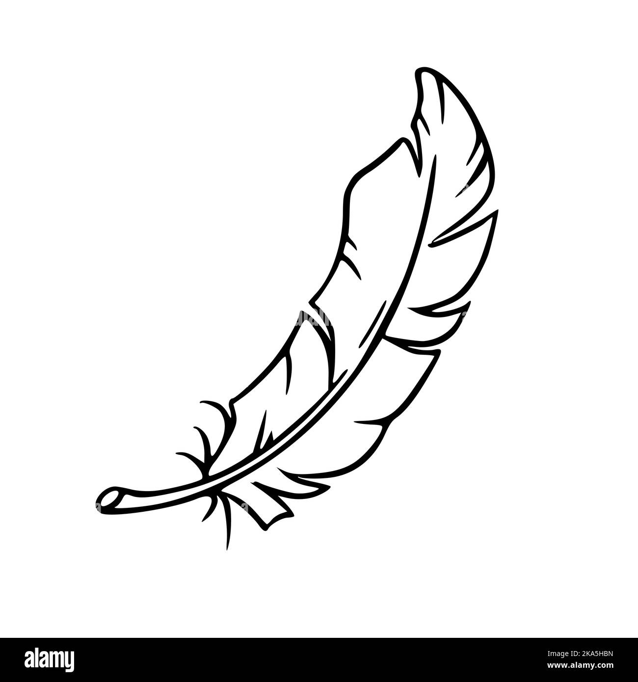 Feather sketch. Feather for decoration or writing. Vector illustration ...