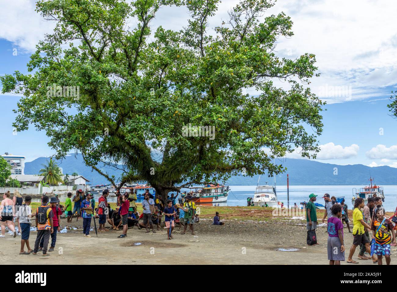 Locals gathering under shade of tree around harbour foreshore. Alotau ...