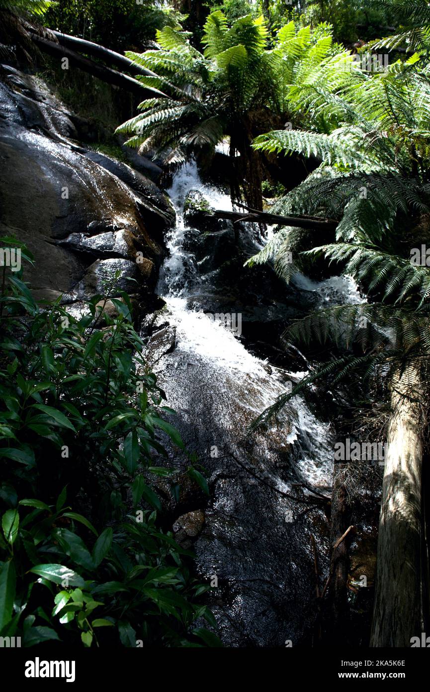 Phantom Falls is a very appropriate name for these falls - hidden away ...