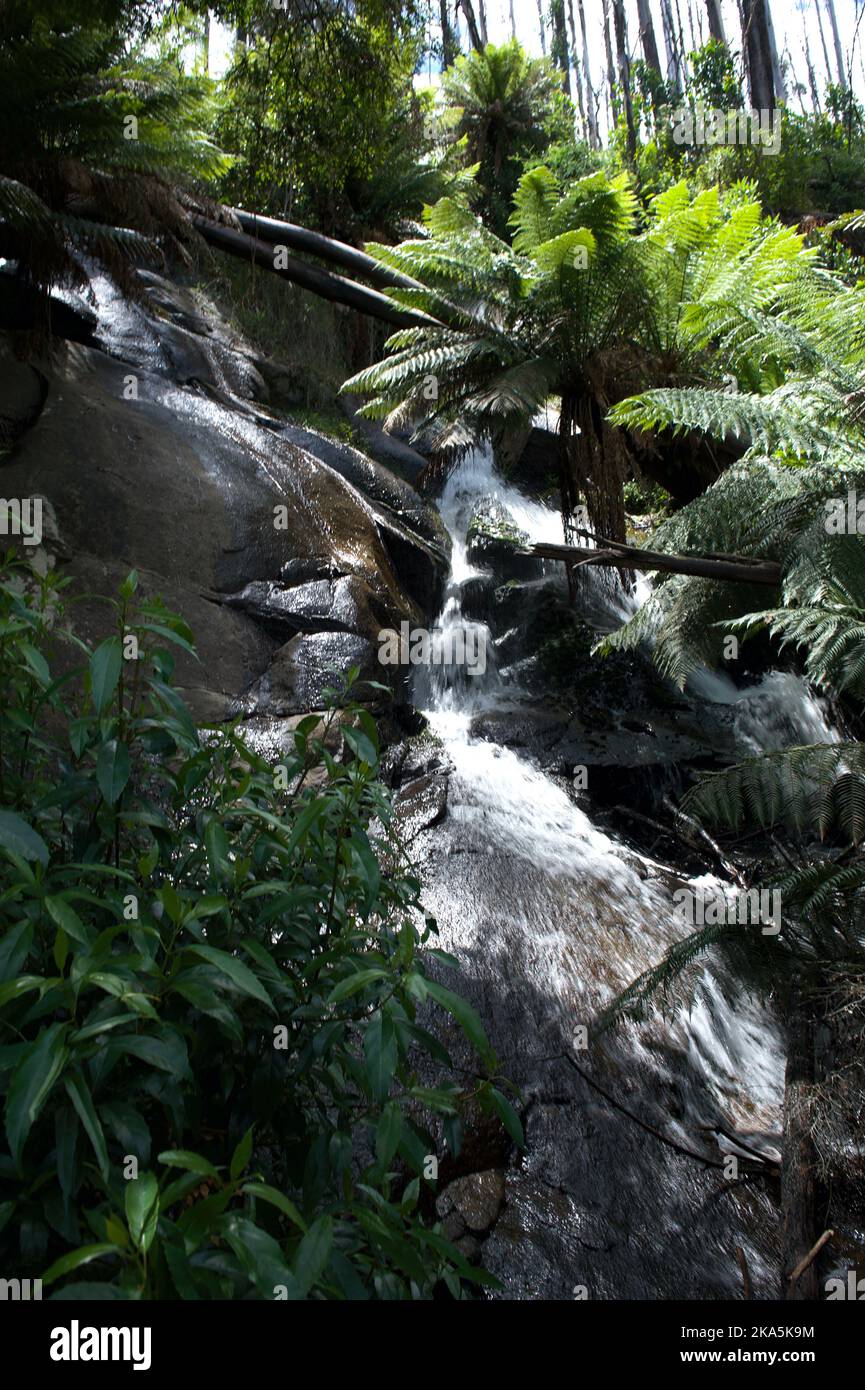 Phantom Falls is a very appropriate name for these falls - hidden away ...