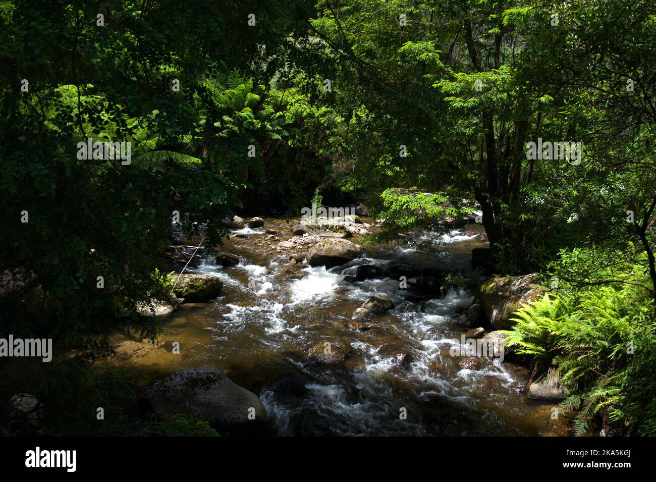 The Taggerty River is short and wild - running 18 kms from below Lake ...