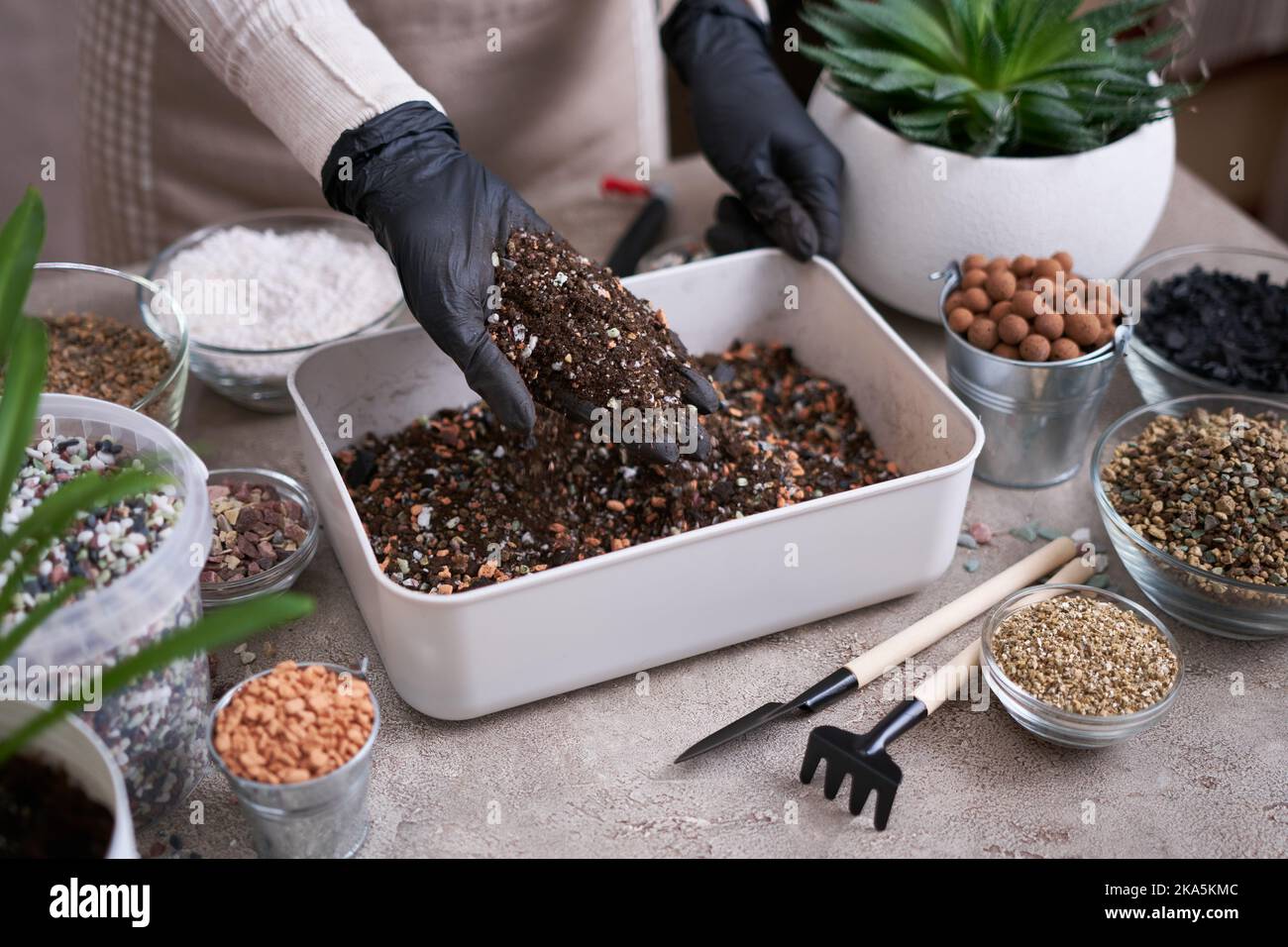 soil substrate preparation for transplanting houseplants on concrete ...