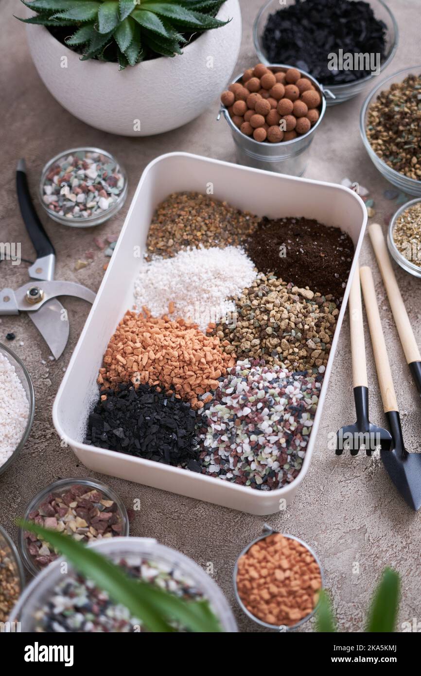 plastic box for soil substrate preparation for transplanting ...