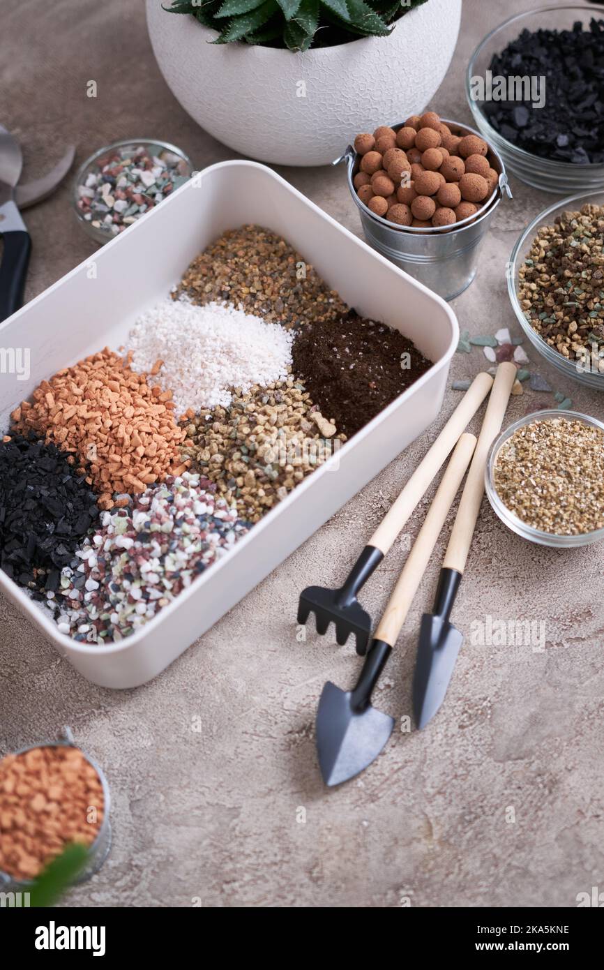 plastic box for soil substrate preparation for transplanting ...